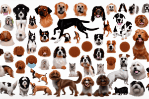 The 94 Different Types of Dogs: A Comprehensive Guide - My Good Doggo