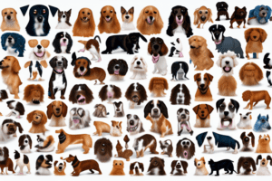 10 Types of Dog Breeds: A Comprehensive Guide - My Good Doggo